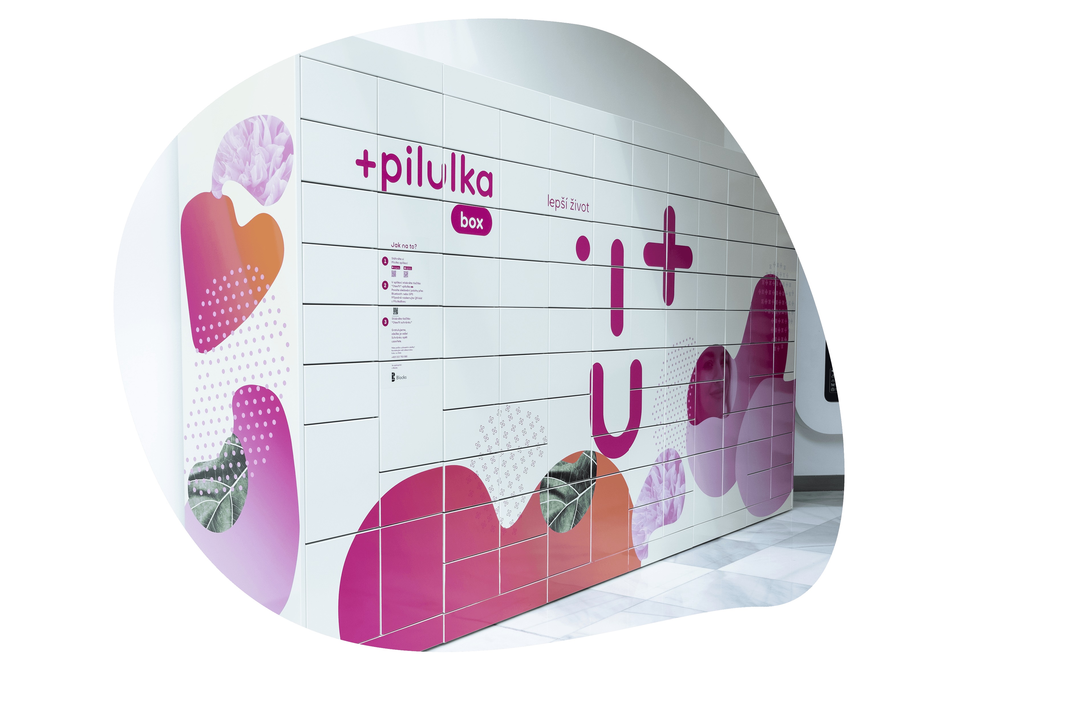 Služby | OG Arkáda Prostějov